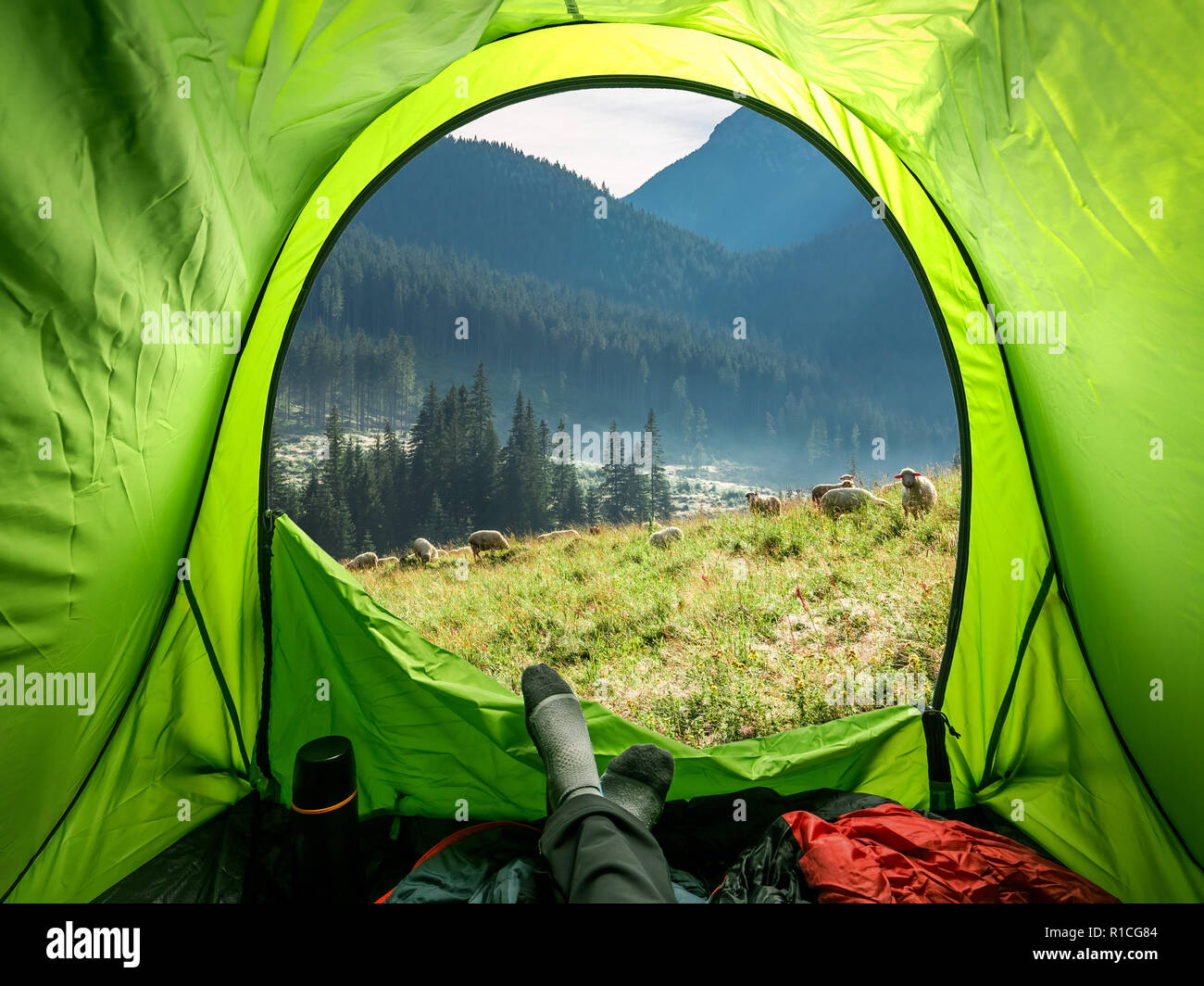 Sheep tent hi-res stock photography and images - Alamy