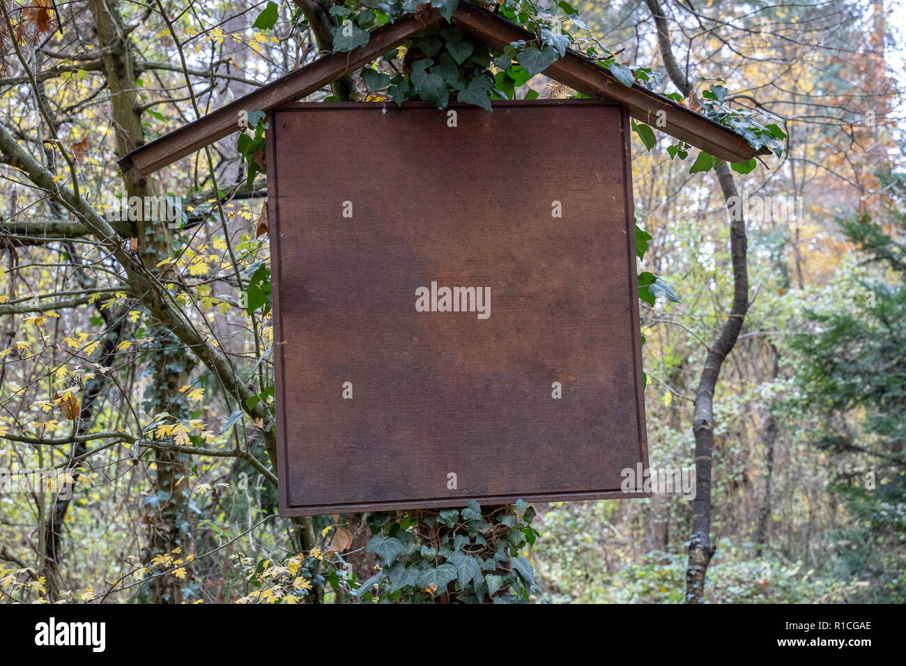Old empty signboard in the middle of the forest Stock Photo - Alamy
