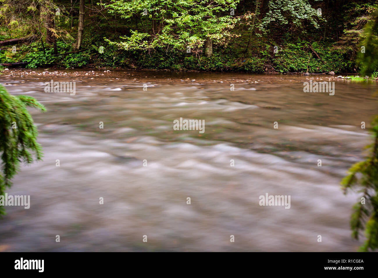 long exposure rocky mountain river in summer with high water stream ...