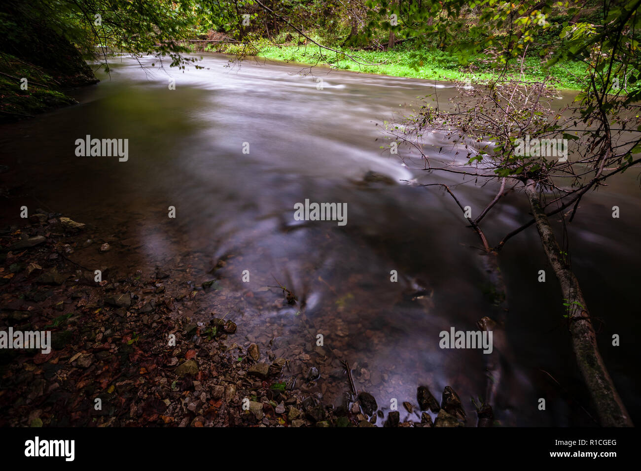 long exposure rocky mountain river in summer with high water stream ...