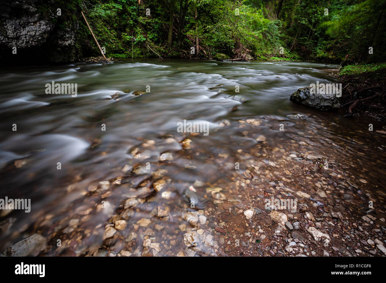 long exposure rocky mountain river in summer with high water stream ...