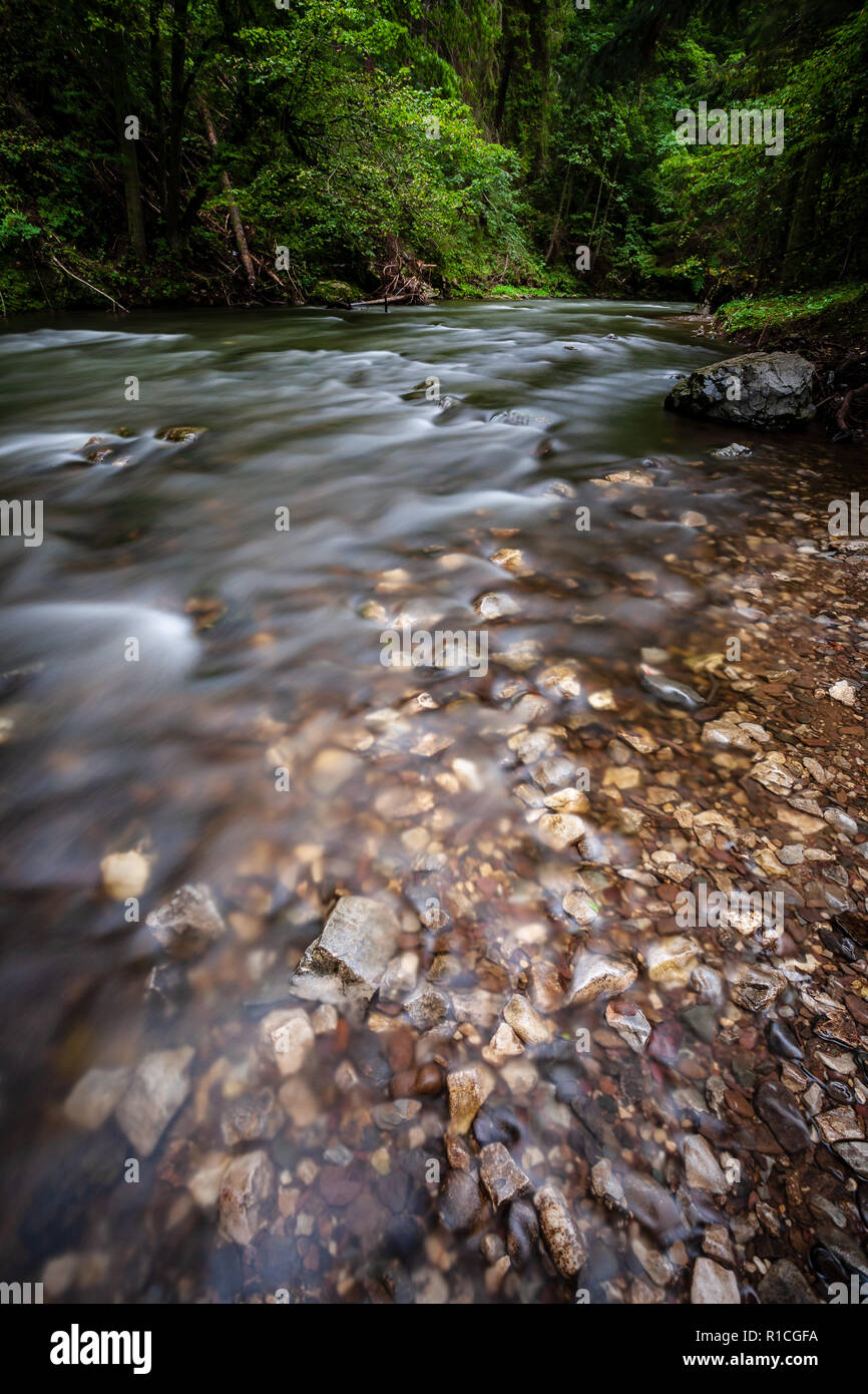 long exposure rocky mountain river in summer with high water stream ...