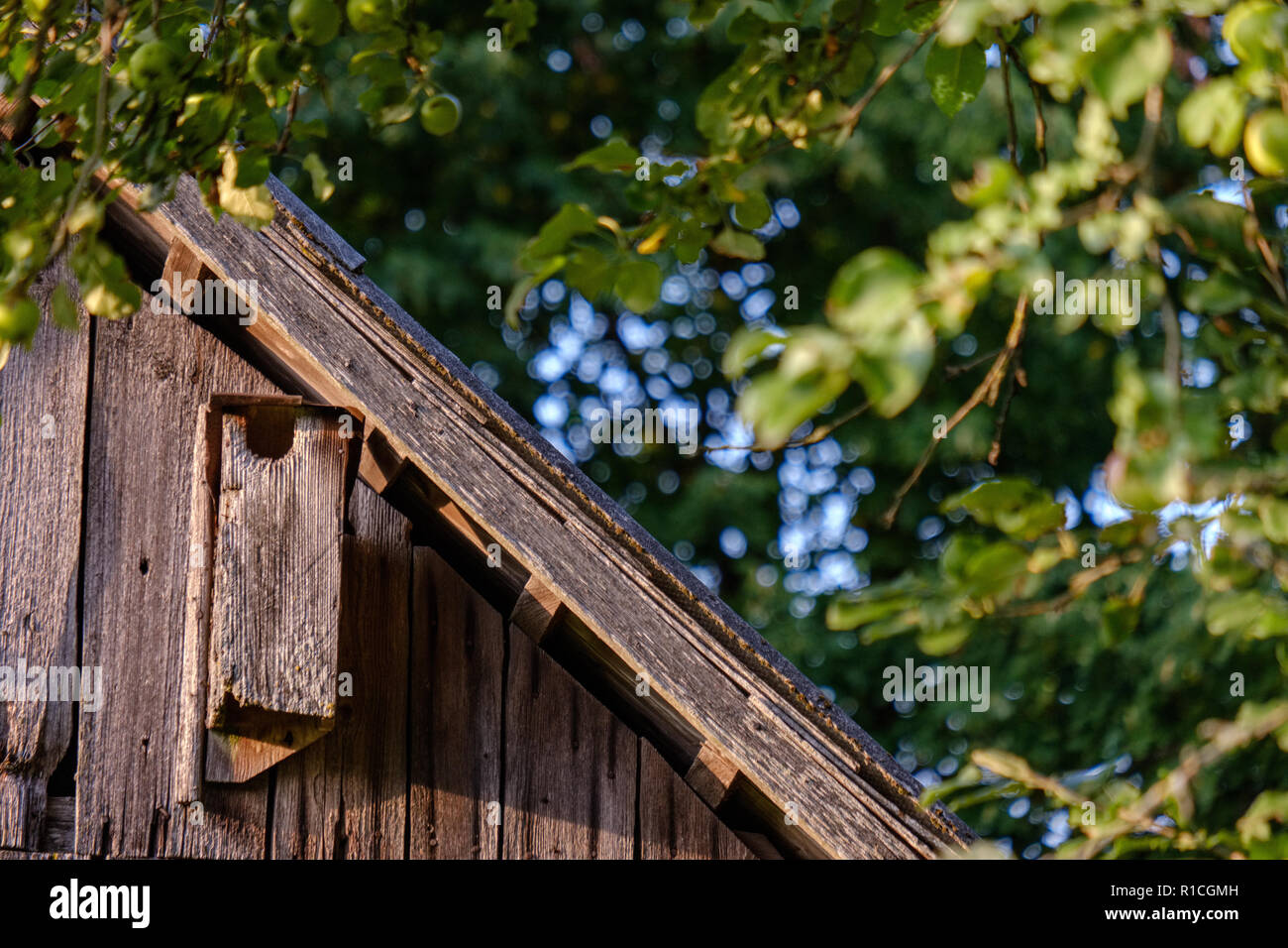 Toilet Shaped House High Resolution Stock Photography and Images - Alamy