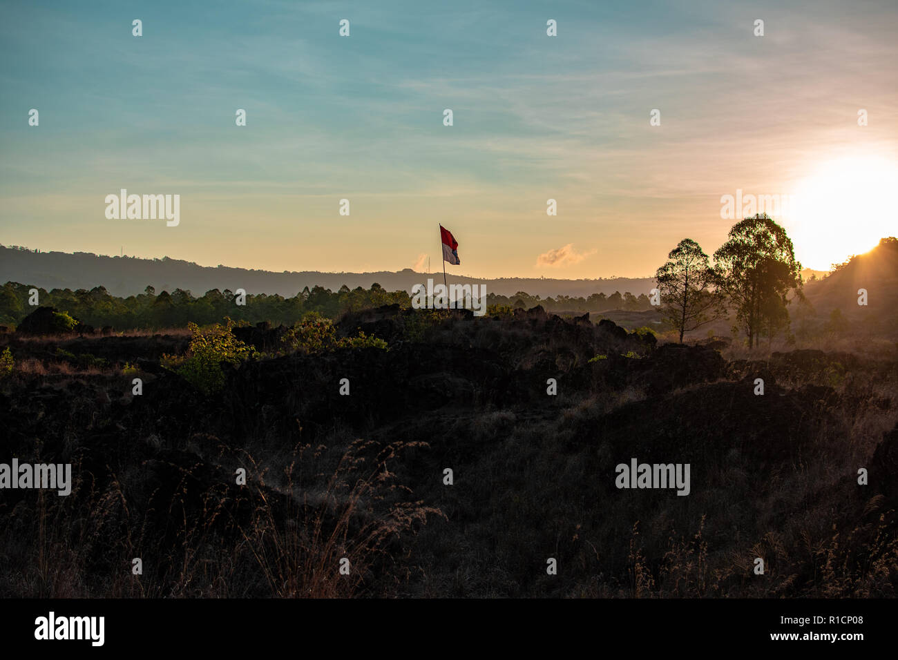 Volcano, mountain covered forest, sky with clouds, traces of lava on ...