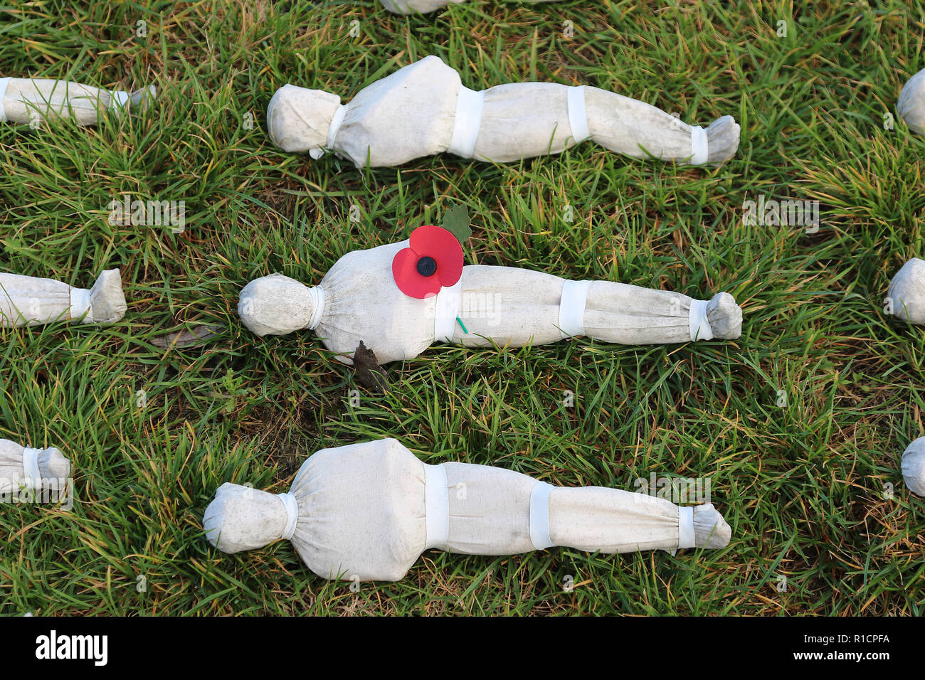 The Shrouds of the Somme is a graphic representation of loss of the ...