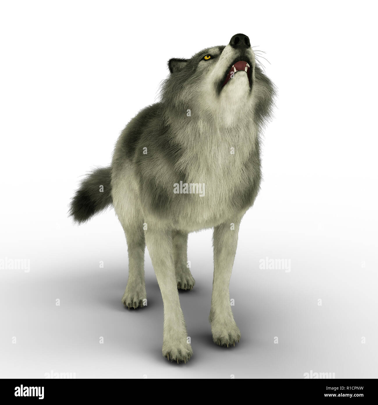 Digital 3D Illustration of a Wolf Stock Photo - Alamy
