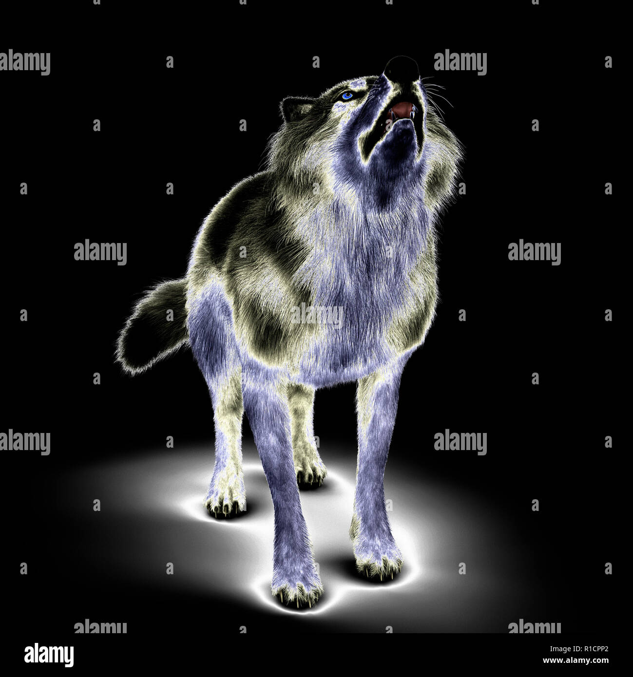 Digital render black wolf isolated hi-res stock photography and images ...