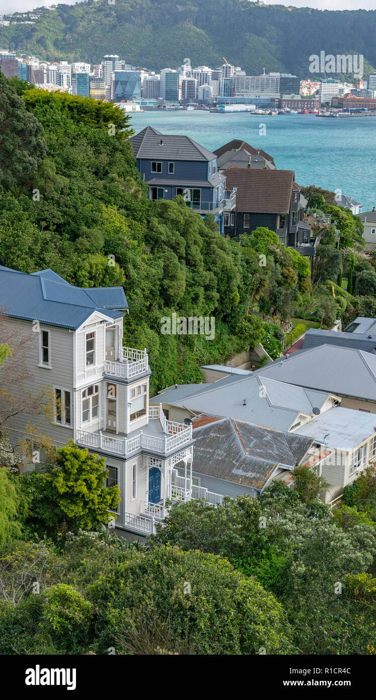 Wellington downtown in distance beyound homes and trees from slope ...