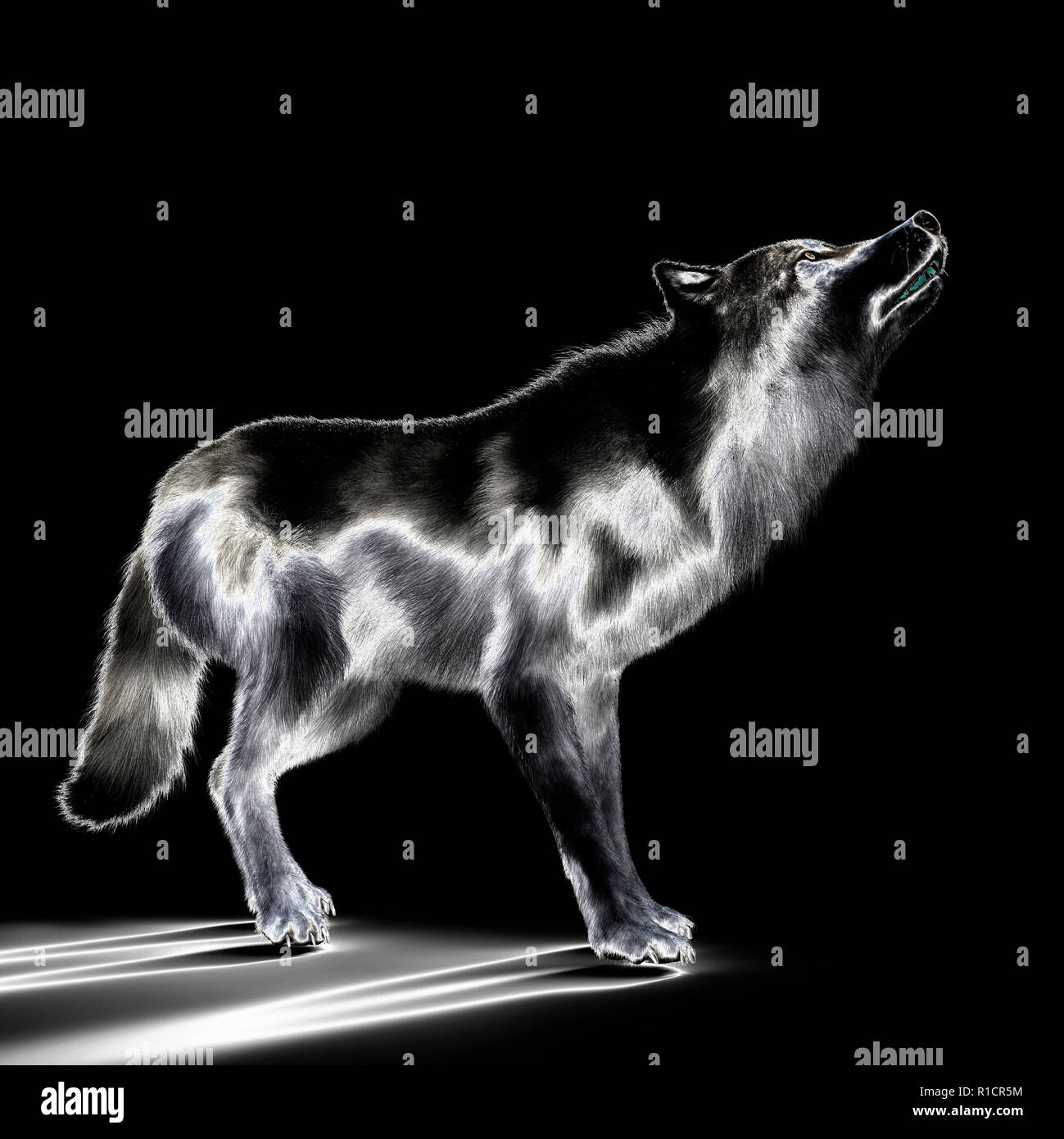 Digital 3D Illustration of a Wolf Stock Photo - Alamy