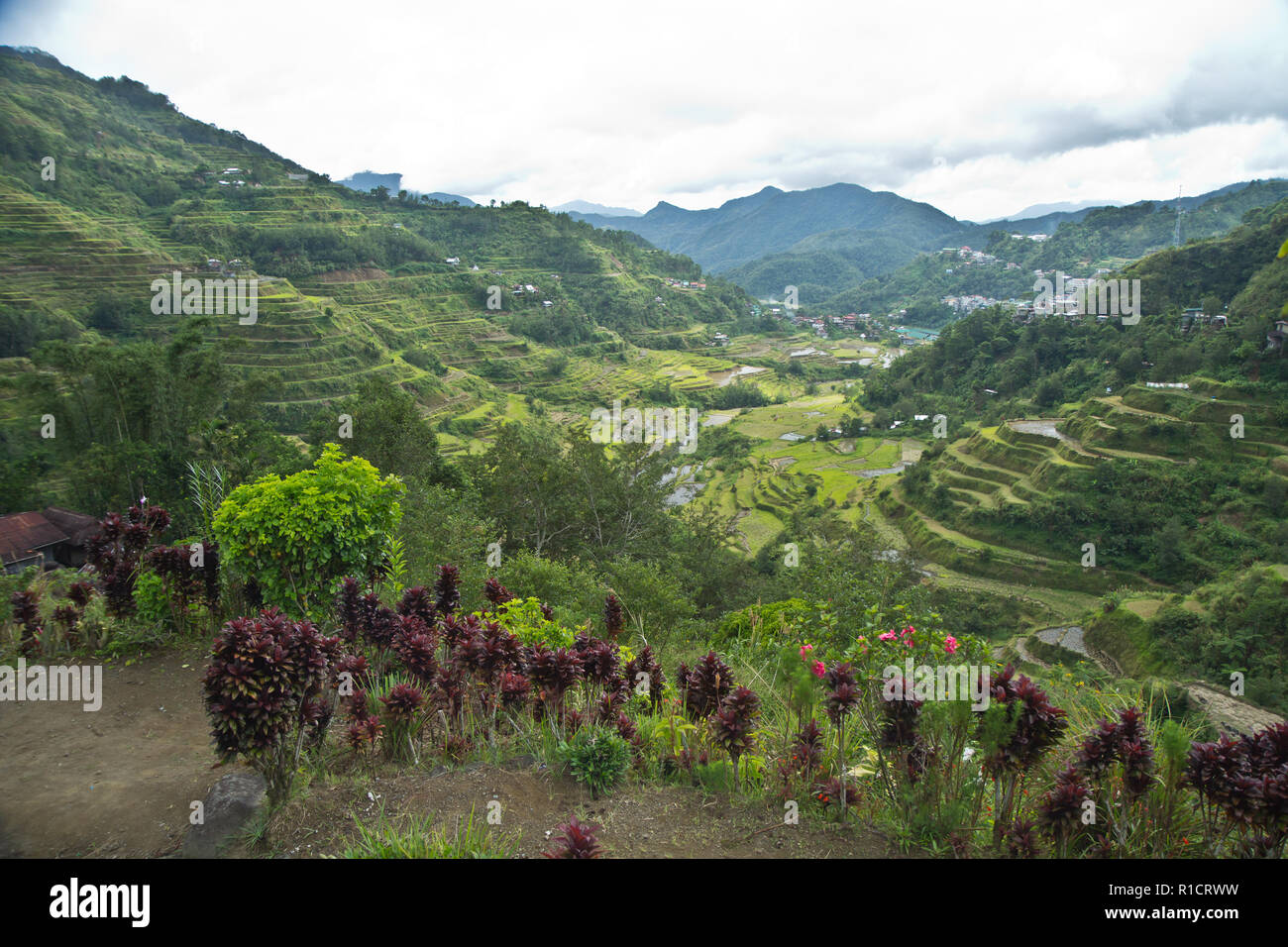 The Banaue Rice Terraces are carved into the mountains of Ifugao in the ...
