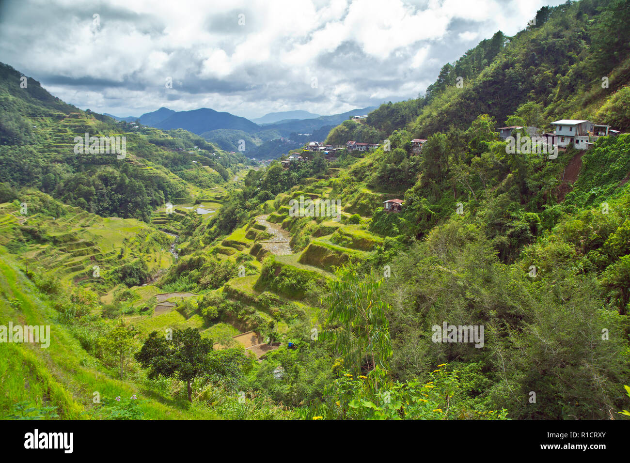 The Banaue Rice Terraces are carved into the mountains of Ifugao in the ...