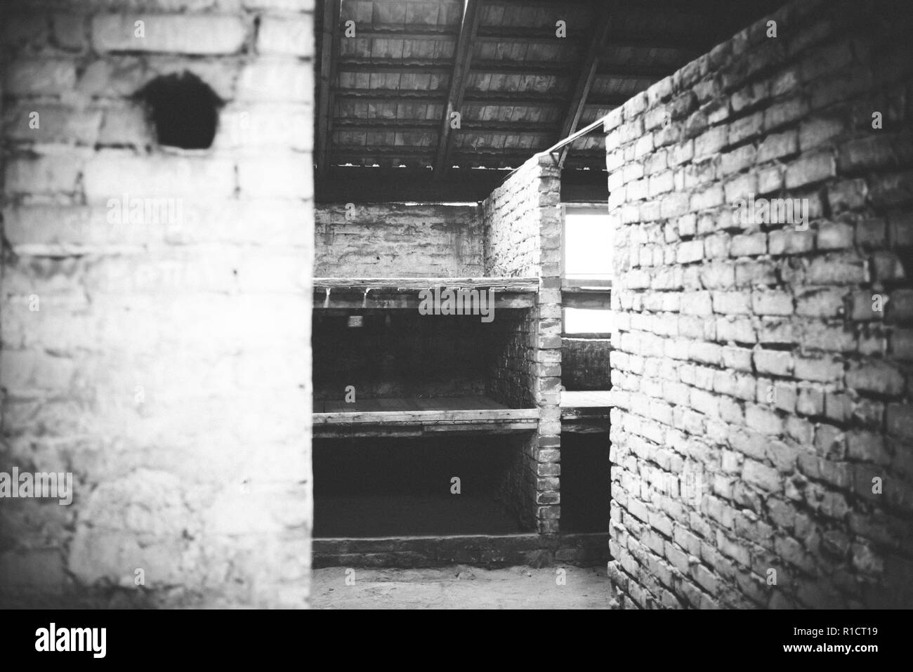 Nazi concentration camp prisoners women hi-res stock photography and ...