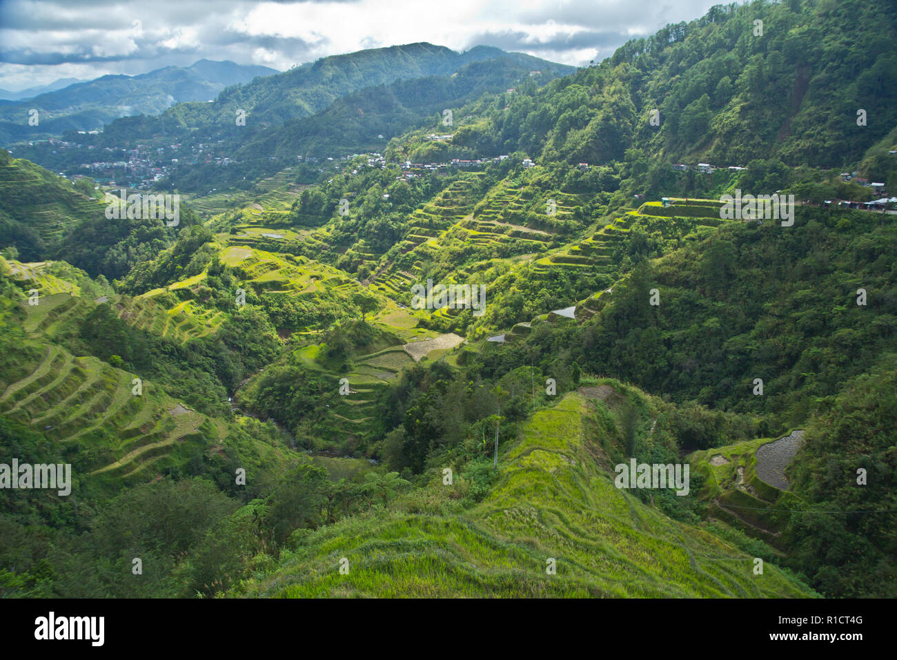 The Banaue Rice Terraces are carved into the mountains of Ifugao in the ...