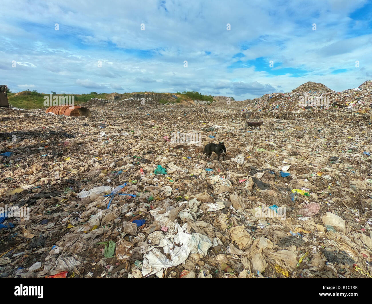 garbage in Municipal landfill for household waste, pollution problem ...