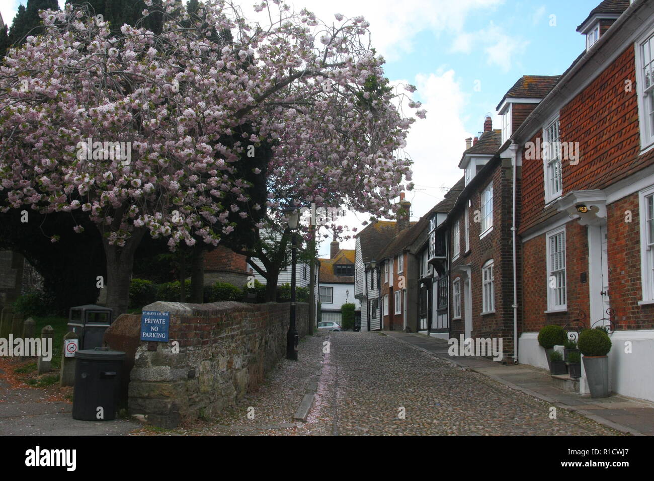 COBBLED STREET WITH TREE IN BLOSSOM IN THE HISTORIC TOWN OF RYE Stock ...