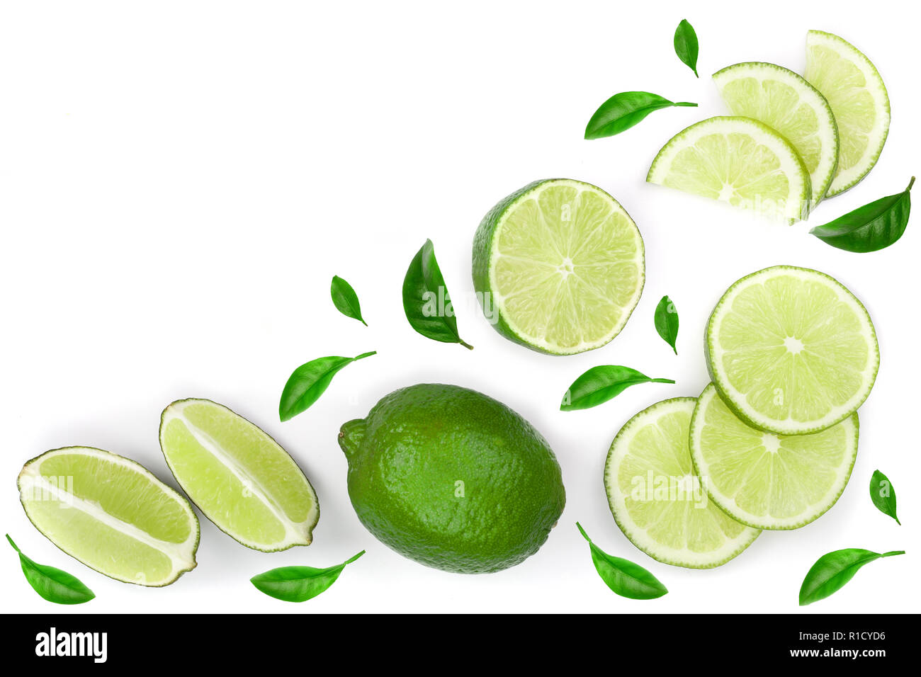 sliced lime isolated on white background with copy space for your text ...