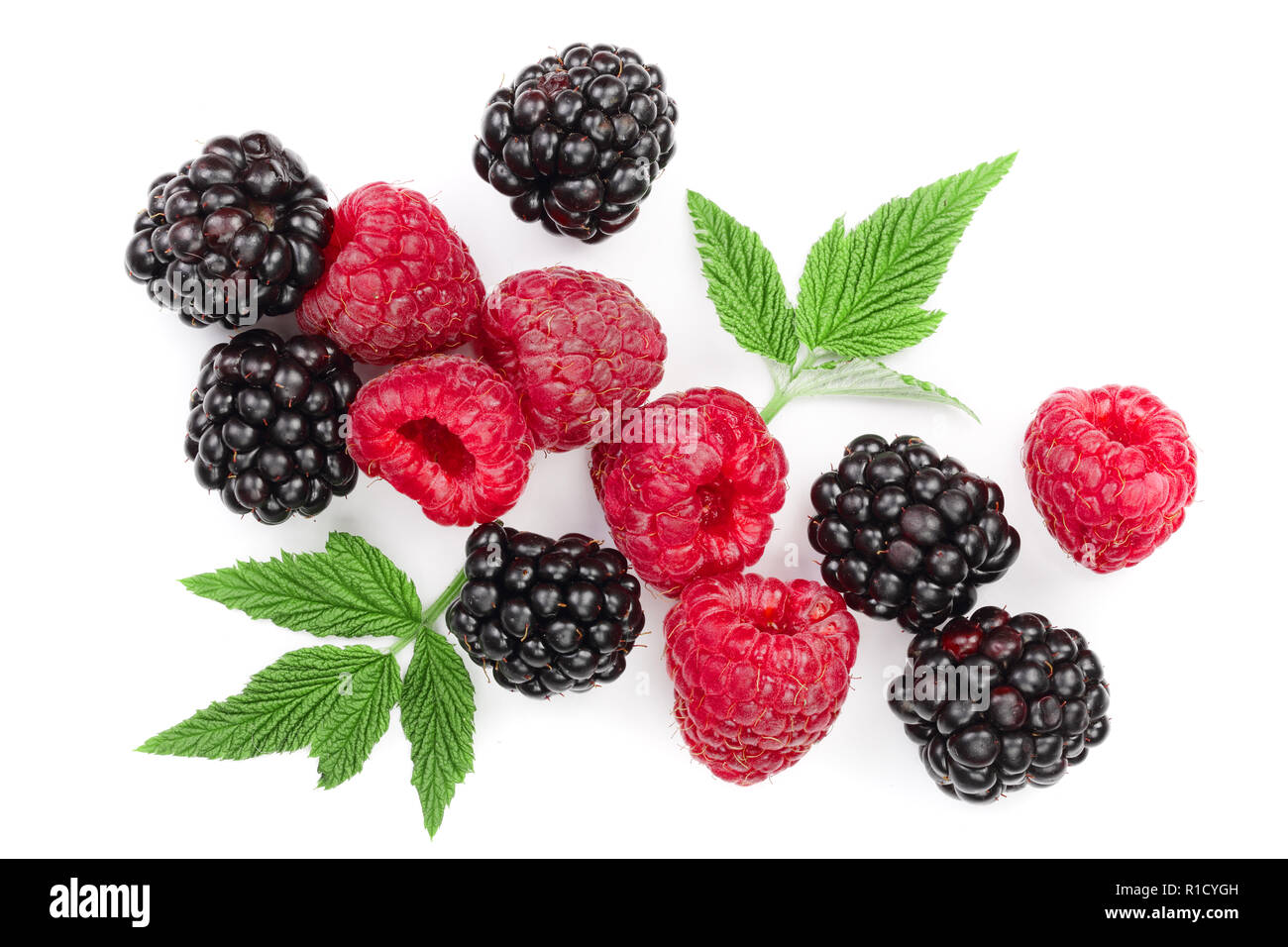 blackberry and raspberry with leaves isolated on white background. Top ...