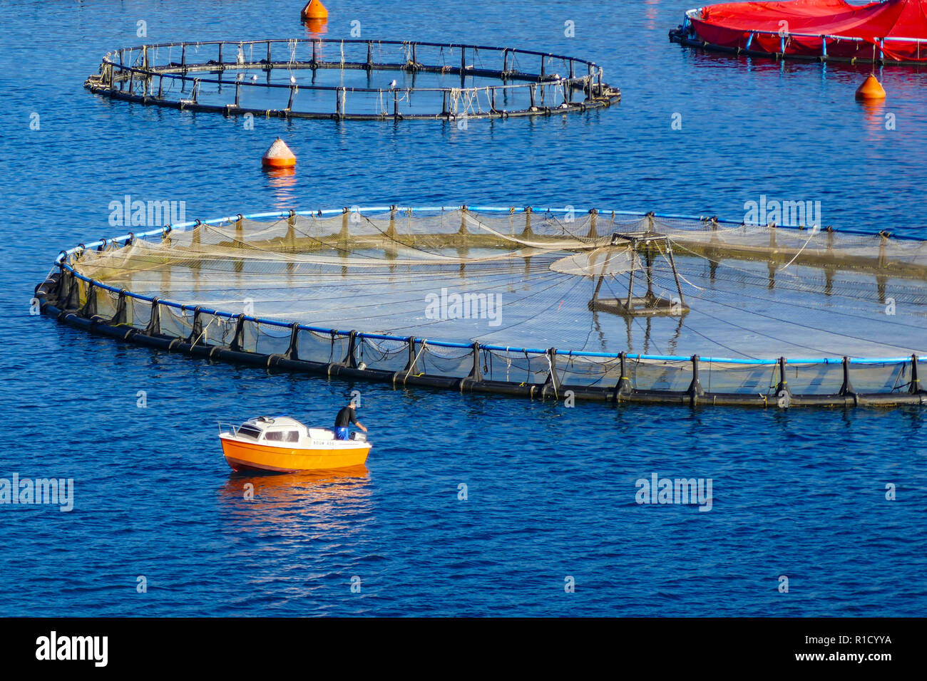 Fish-farm, fish farm, near the town of Mytikas, Ionian Sea, Greece ...