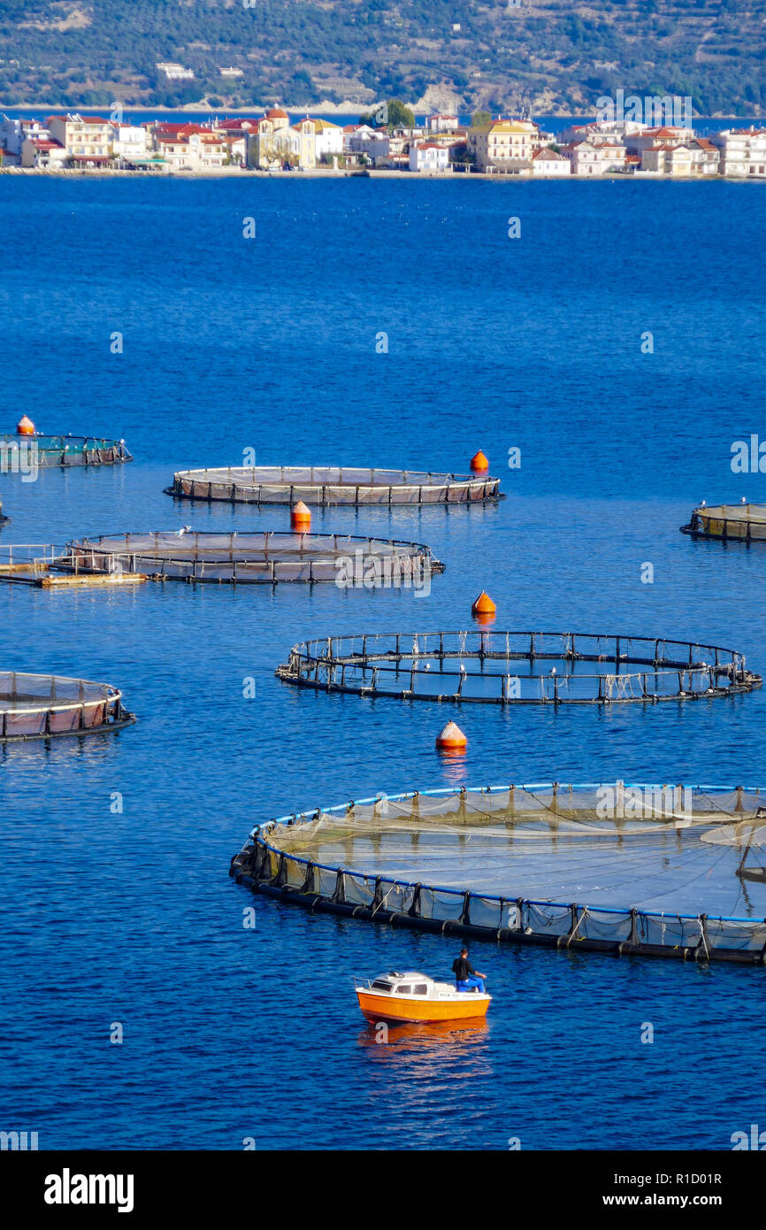 Aquaculture hi-res stock photography and images - Alamy