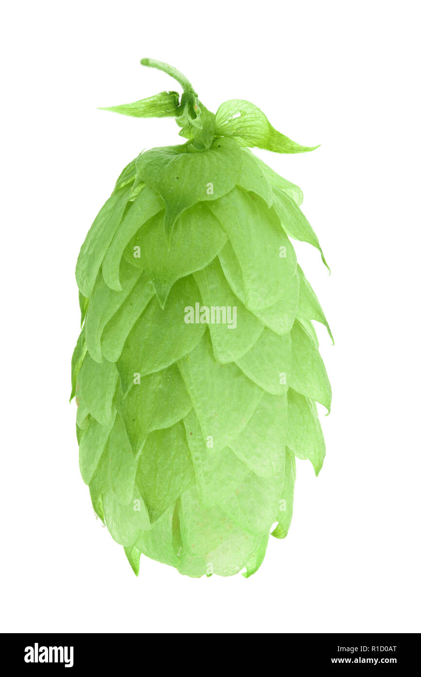 Spice cone Cut Out Stock Images & Pictures - Alamy