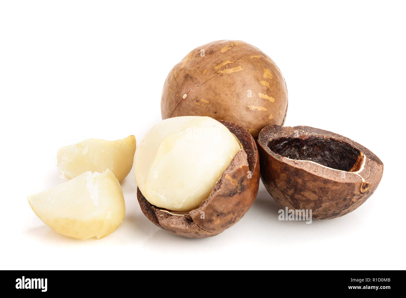 Shelled and unshelled macadamia nuts isolated on white background Stock ...