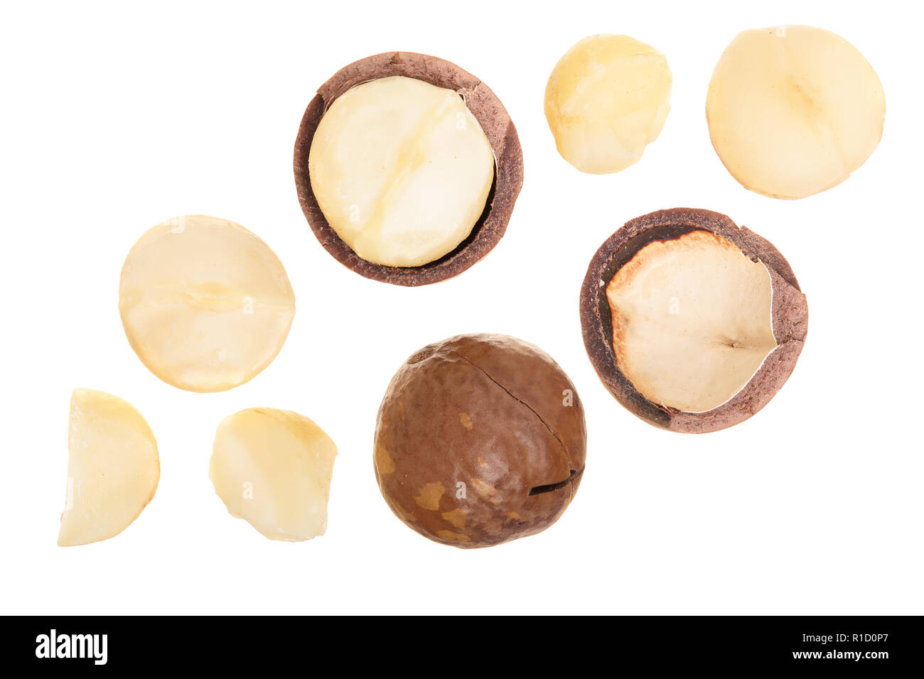 Shelled and unshelled macadamia nuts isolated on white background. Set ...