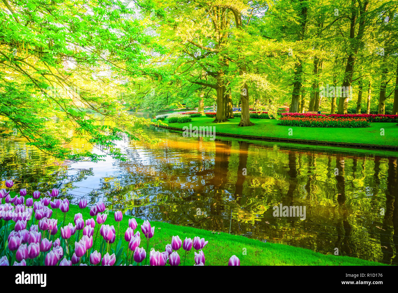 Backyard house pond hi-res stock photography and images - Alamy