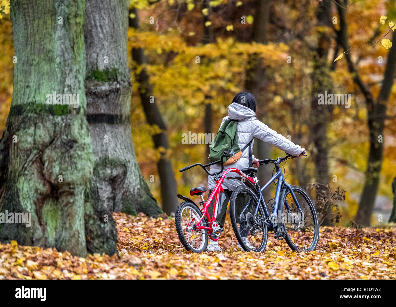 Woman pushing her bicycle hi-res stock photography and images - Alamy