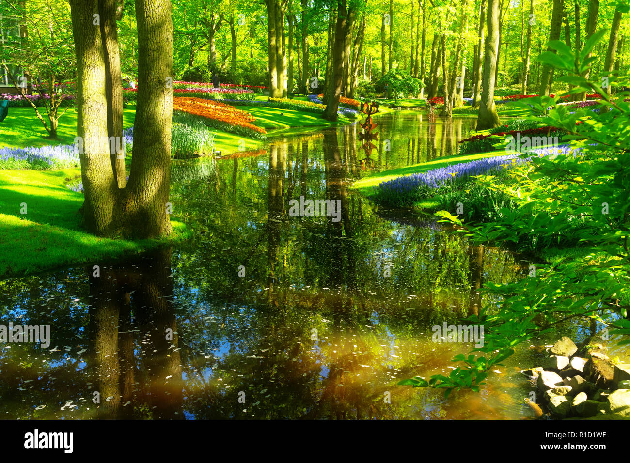 Spring pond lane hi-res stock photography and images - Alamy