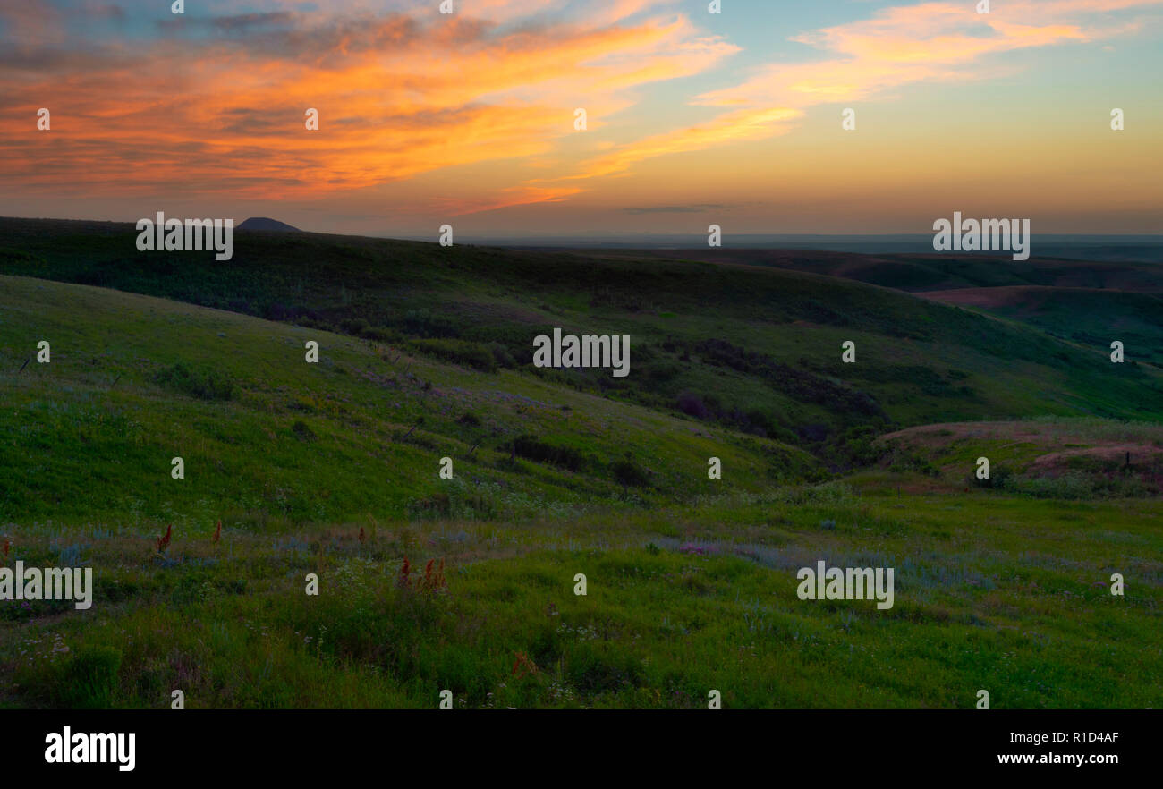 Summer in montana hi-res stock photography and images - Alamy