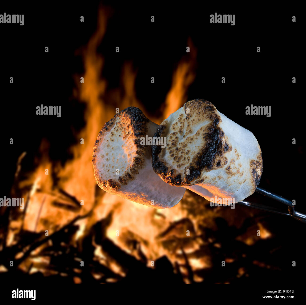 Two marshmallows being roasted over a campfire to make smores Stock ...