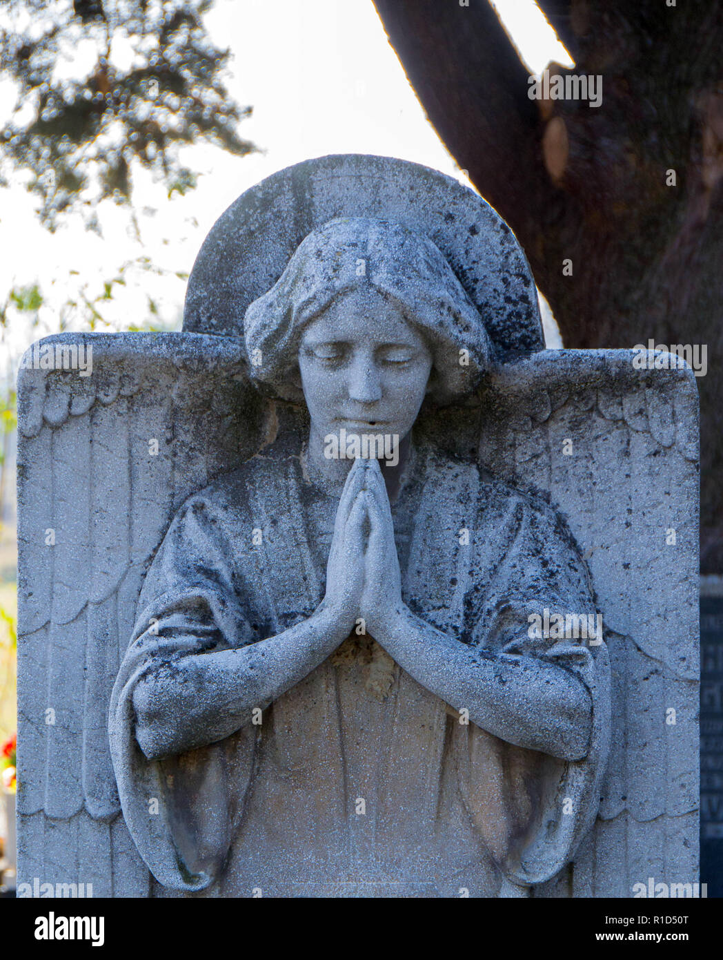 A tombstone of an angel praying in a cemetery Stock Photo - Alamy
