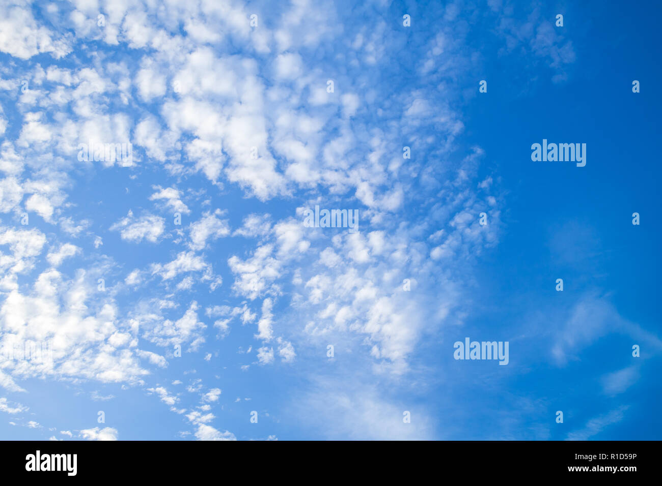 Altocumulus, white clouds in blue sky, natural background photo Stock Photo - Alamy