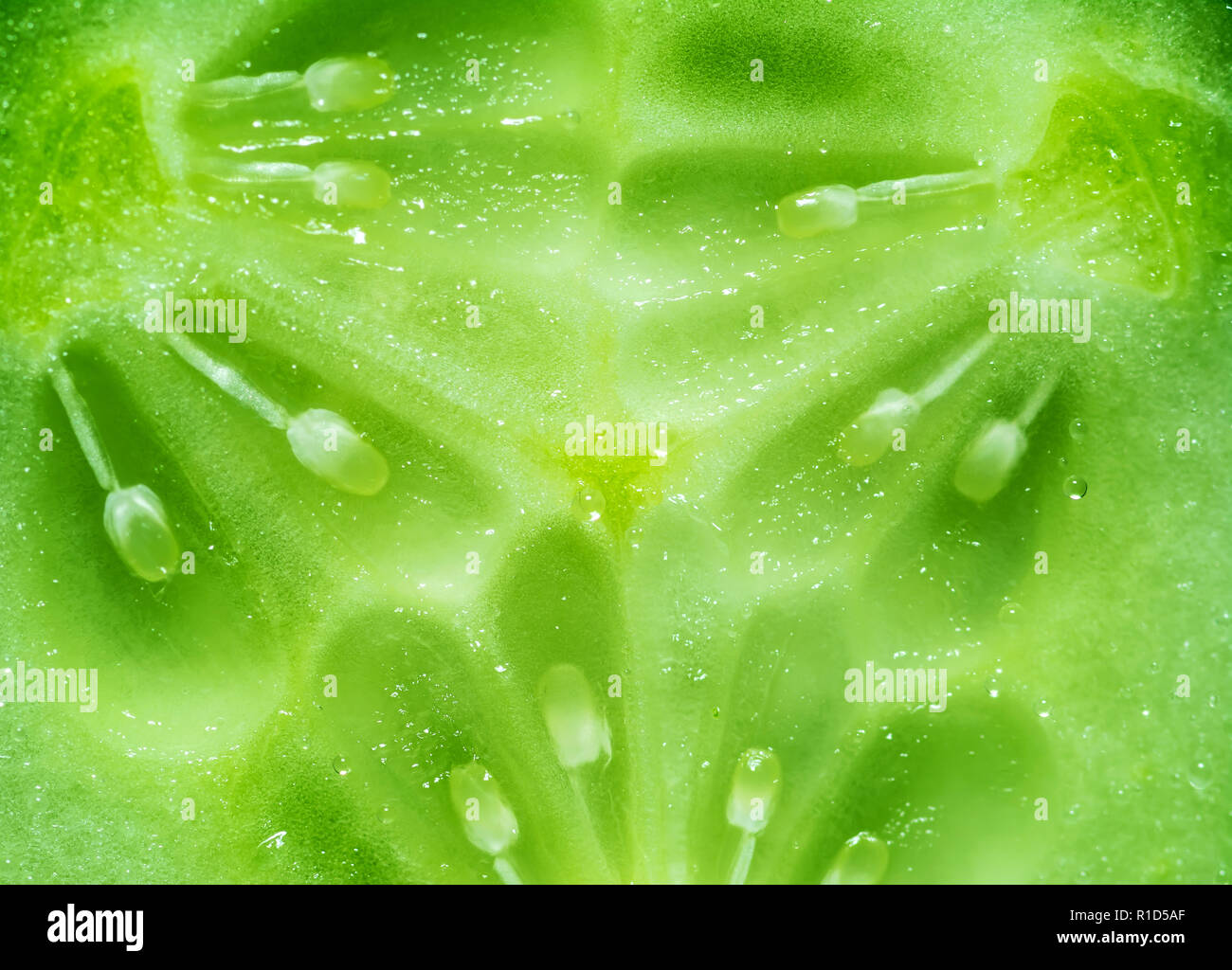 Core green fresh cucumber cut in half close-up background Stock Photo ...