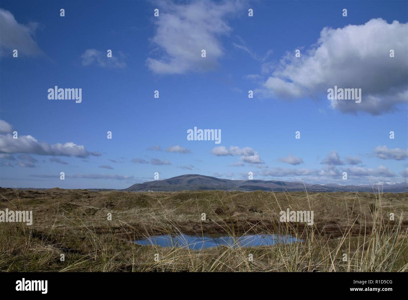 UK Sandscale Haws Nature Reserve. View towards Black Combe and the ...