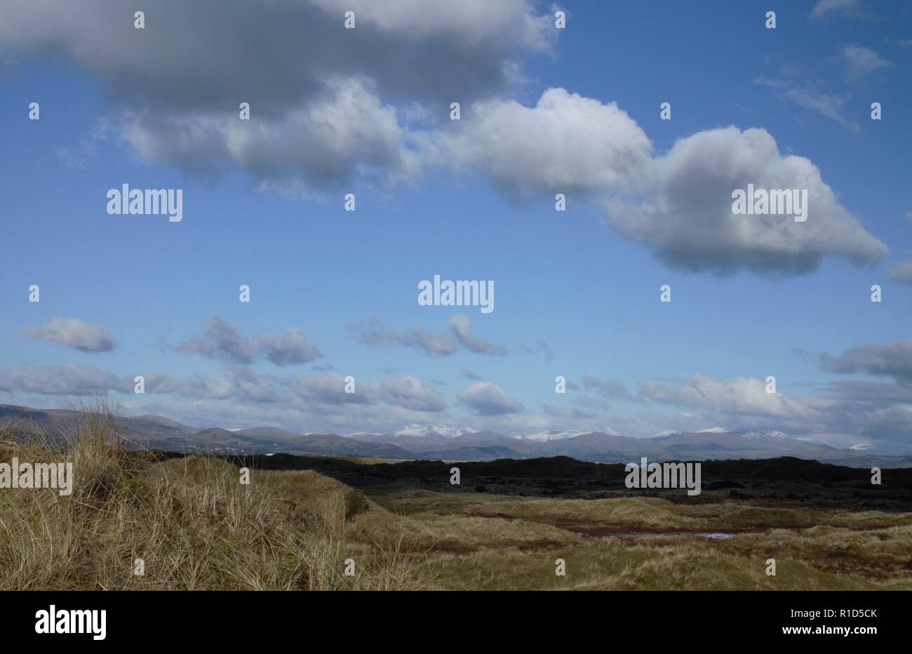 UK Sandscale Haws Nature Reserve. View towards Black Combe and the ...