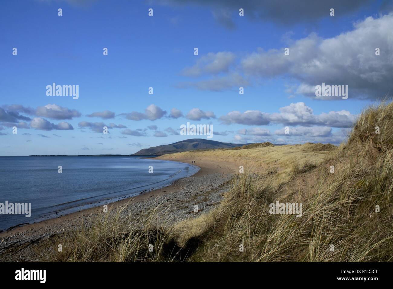 Sandscale haws nature reserve centre hi-res stock photography and ...