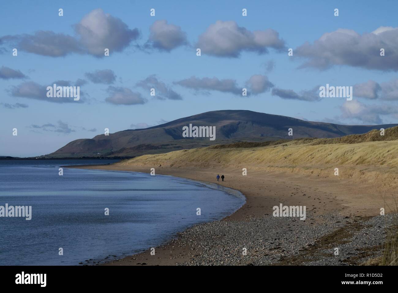 UK Sandscale Haws Nature Reserve. View towards Black Combe and the ...