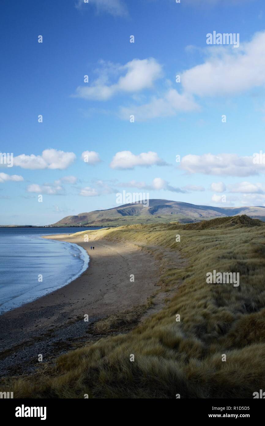 UK Sandscale Haws Nature Reserve. View towards Black Combe and the ...