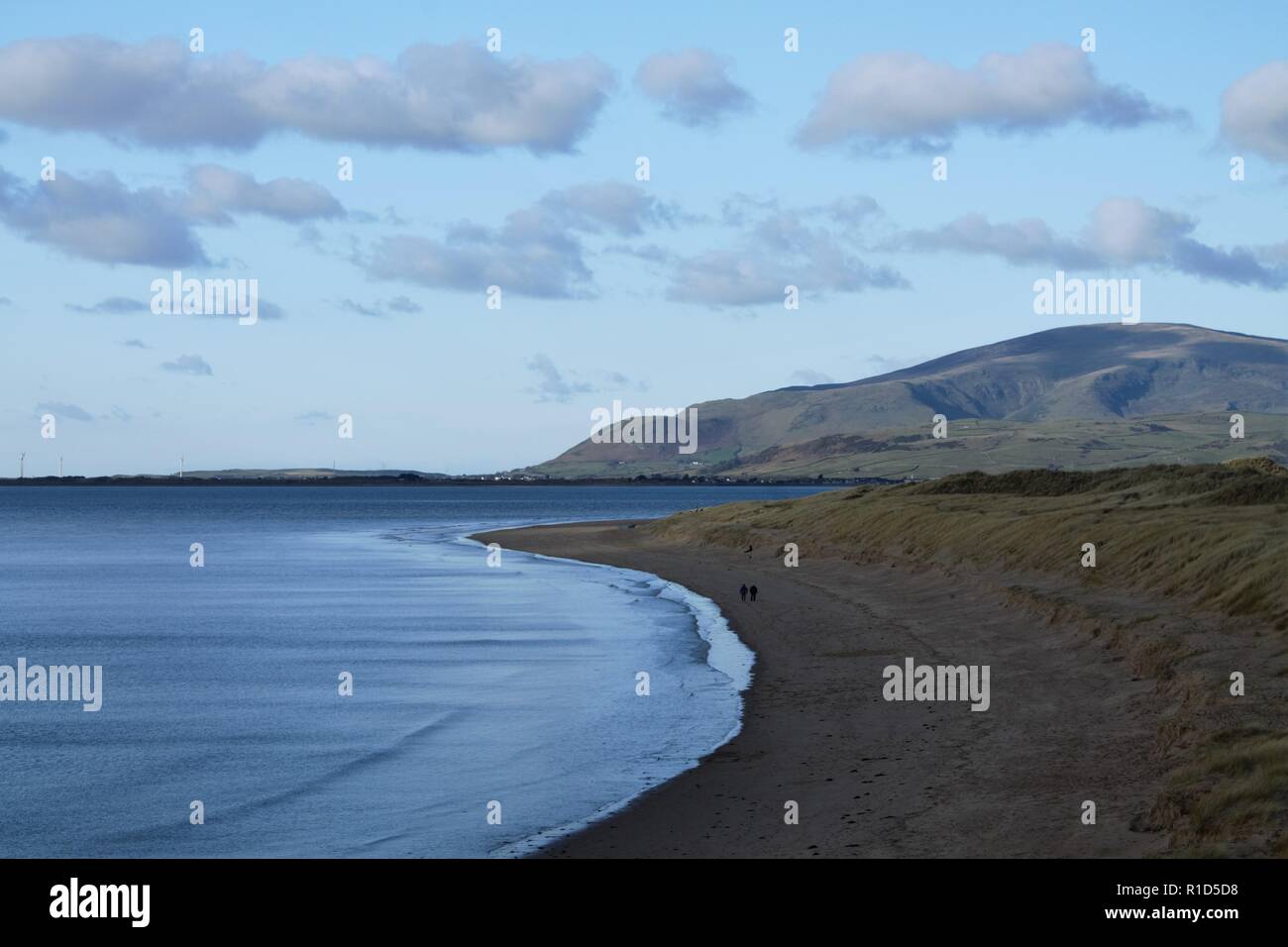 UK Sandscale Haws Nature Reserve. View towards Black Combe and the ...