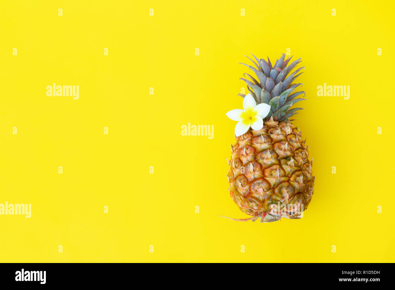 pineapple fruit, minimal style Stock Photo - Alamy