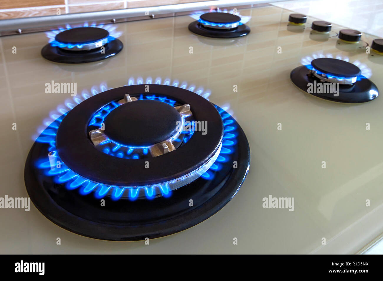 Closeup shot of blue fire from domestic kitchen stove. Gas cooker with ...