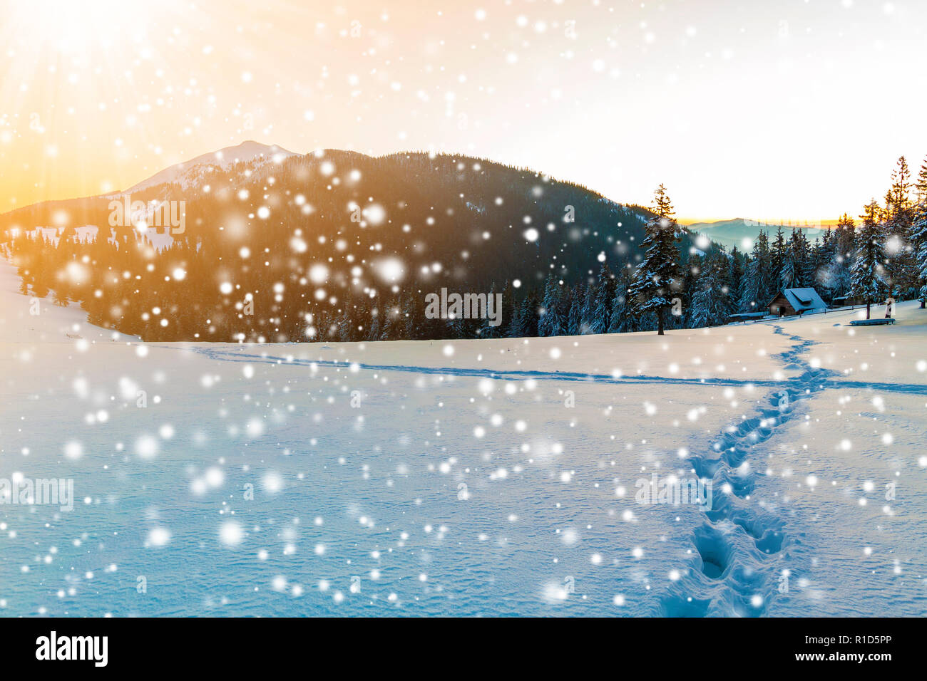 Path with footprints in snow in winter mountains Stock Photo - Alamy