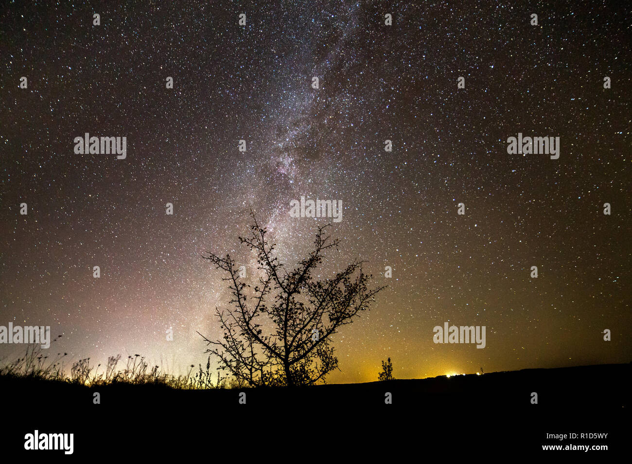 Beautiful panorama, rural landscape at night. Dark contrast silhouette ...