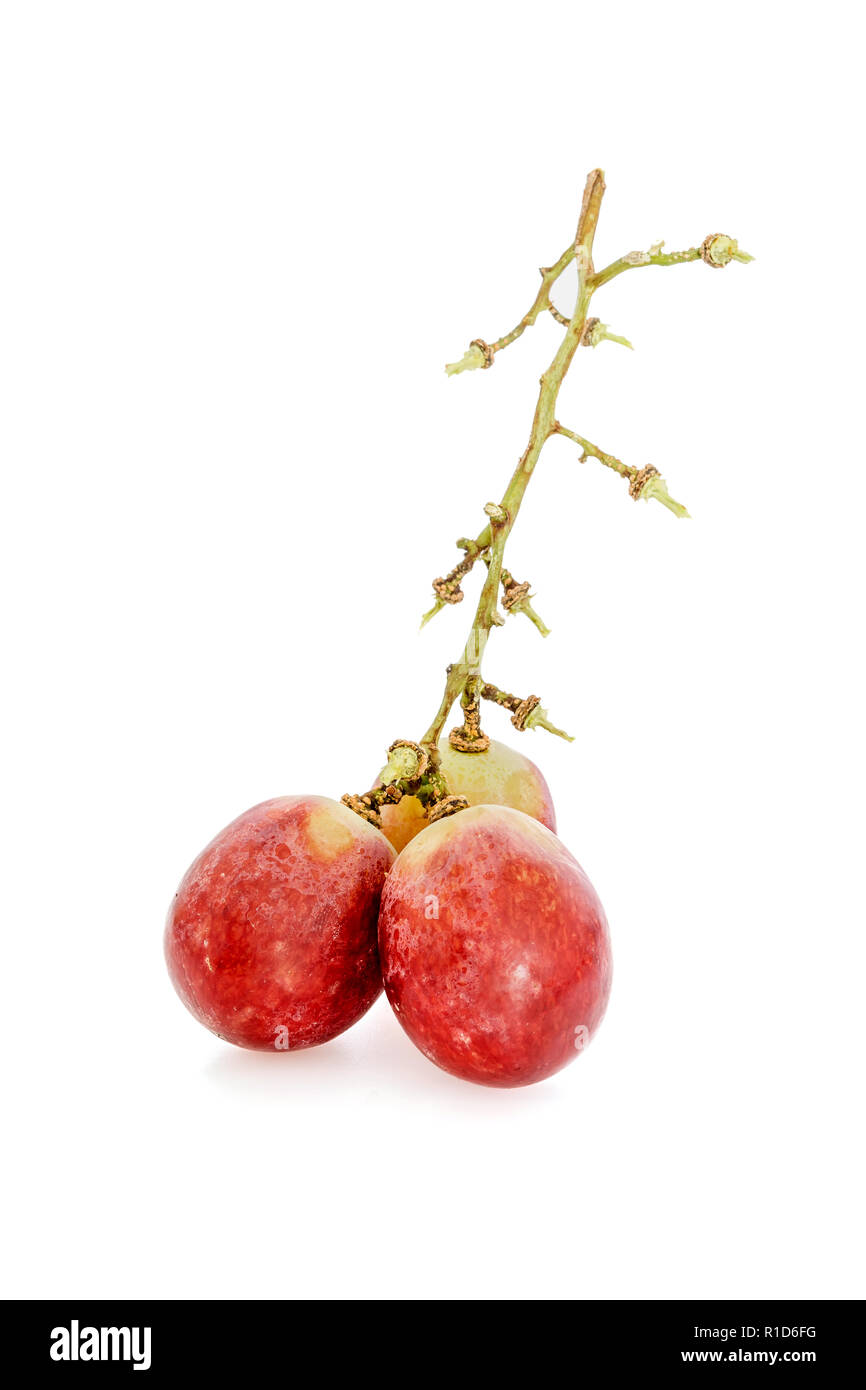 Half-empty grapes branch isolated on white background Stock Photo - Alamy