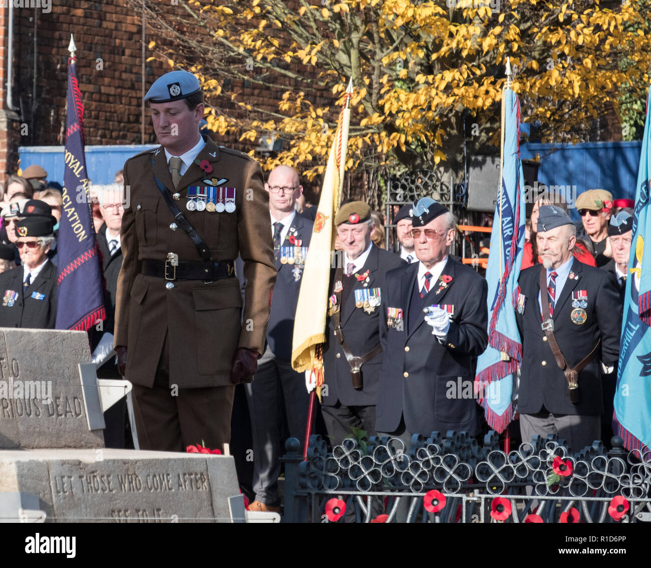 An RAF officer lays a reef during the Remembrance Sunday parade ...