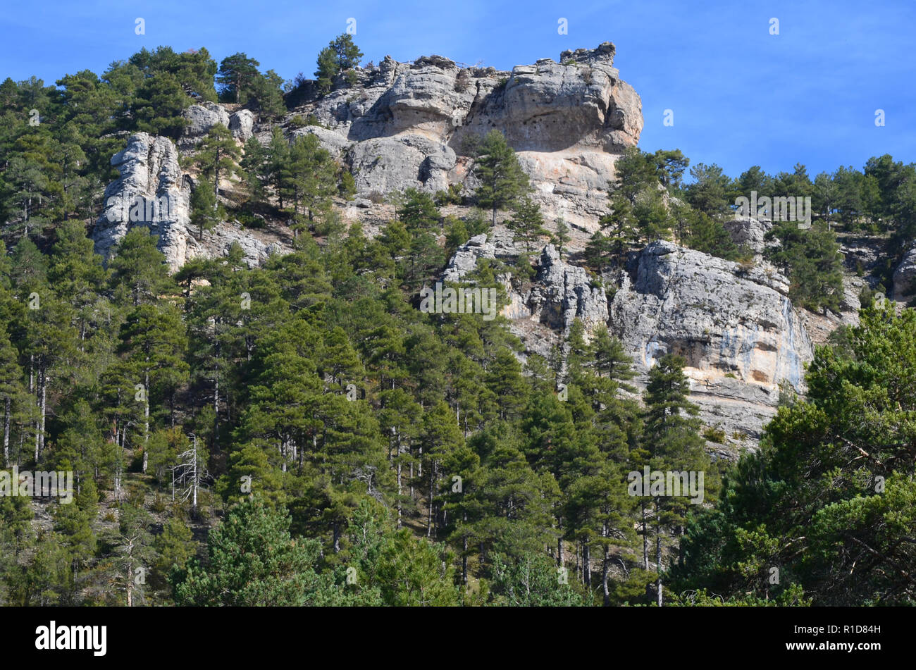 Eroded karstic limestone cliffs in the Guadiela river gorge (“Hoz de ...