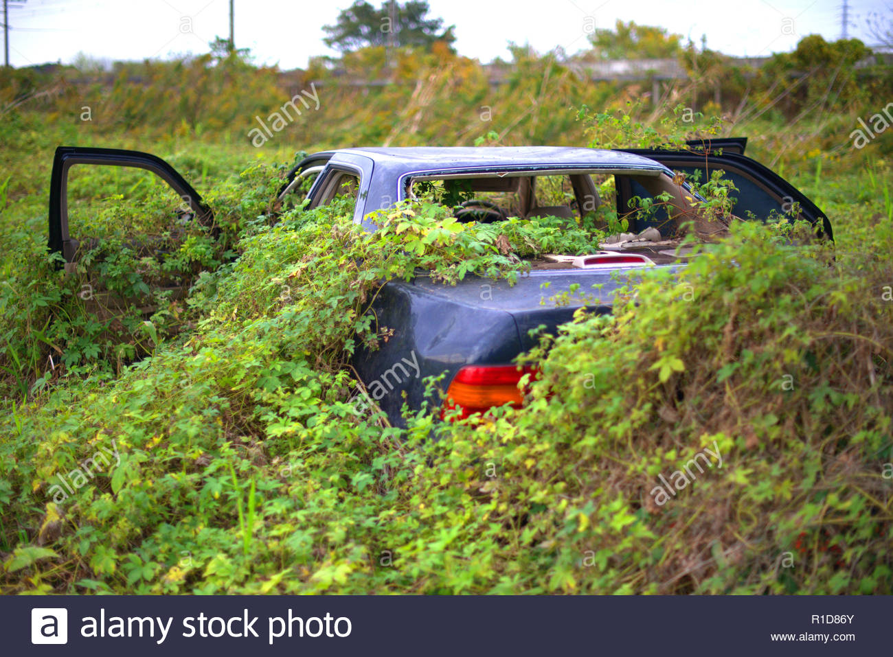 Car Old Overgrown High Resolution Stock Photography and Images - Alamy
