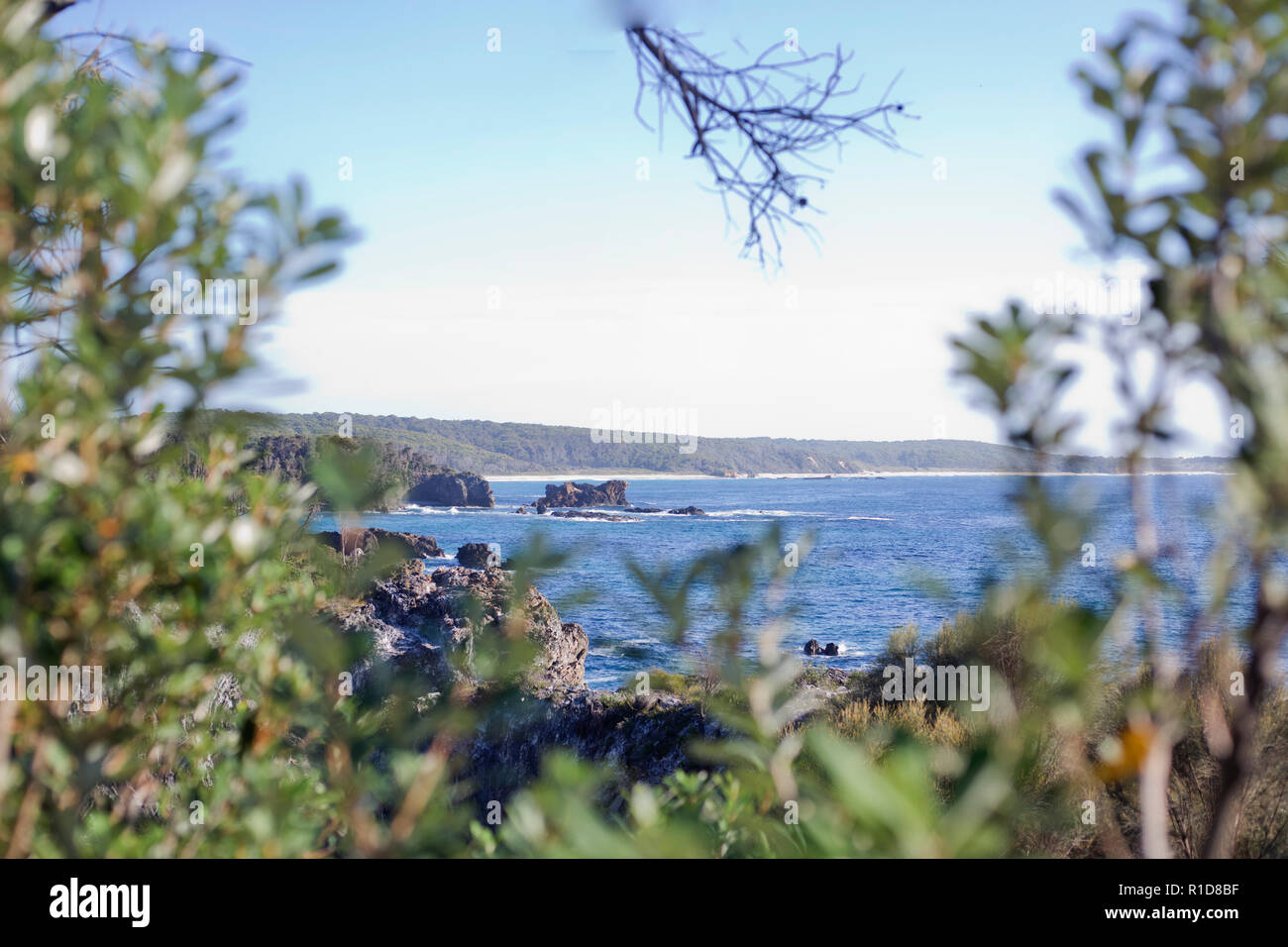 Australian beaches hi-res stock photography and images - Alamy