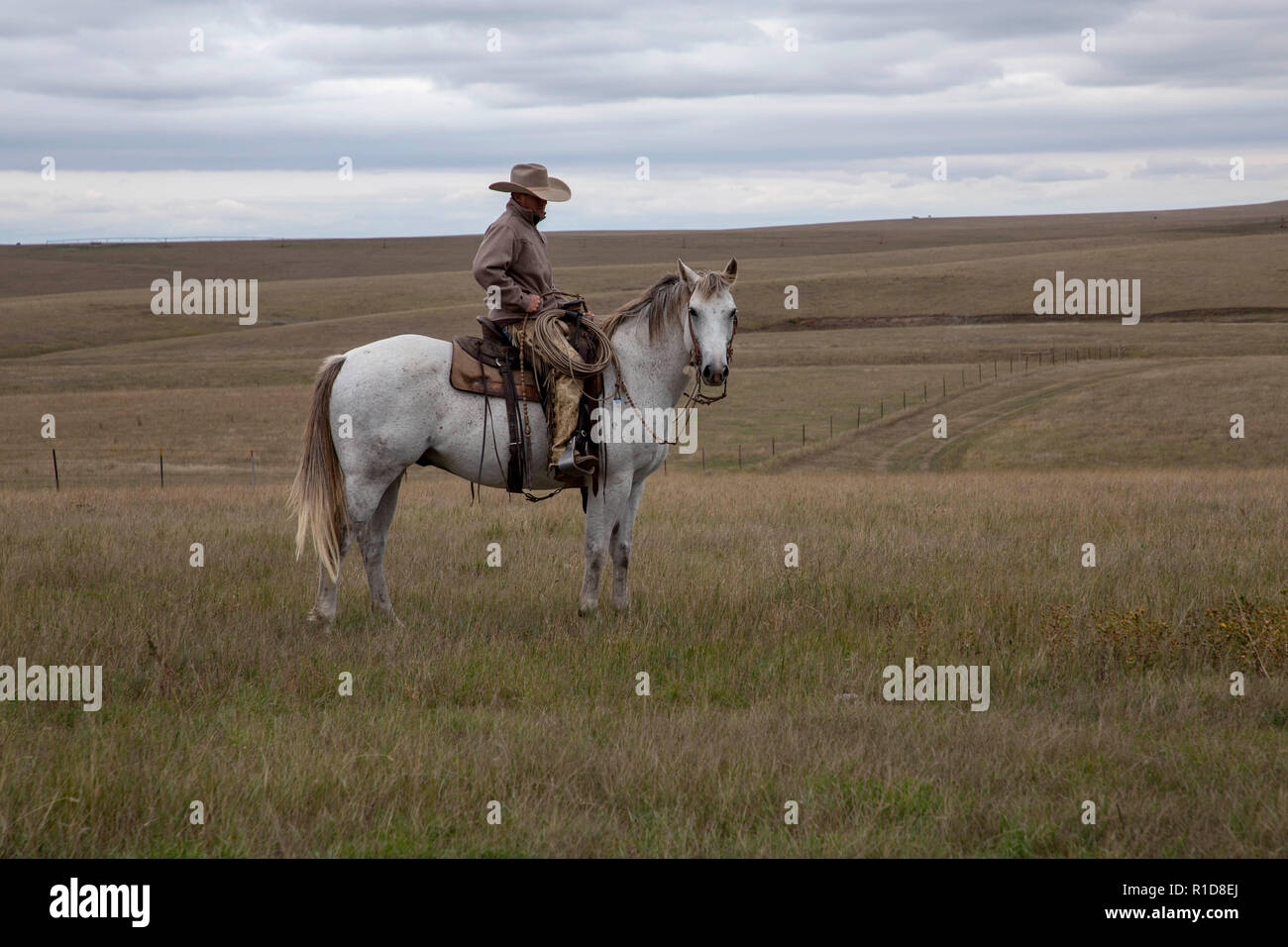 Cowhands hi-res stock photography and images - Alamy